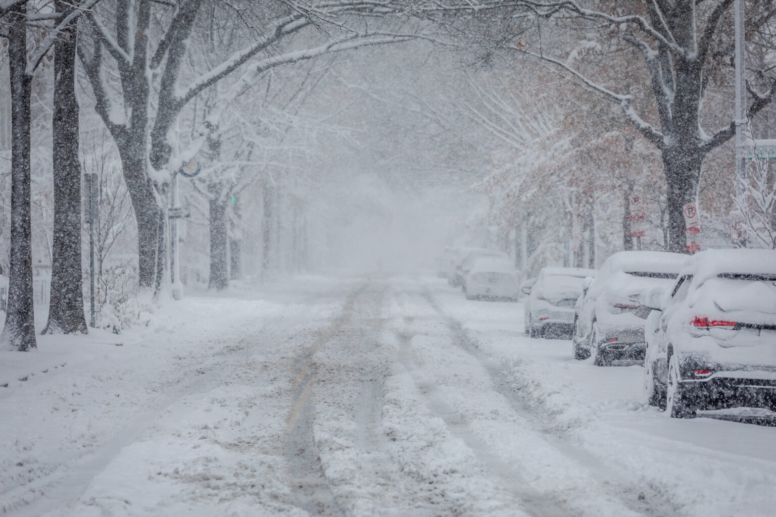 America’s Coldest January Since 1988 Contrasts with Record-Breaking ...