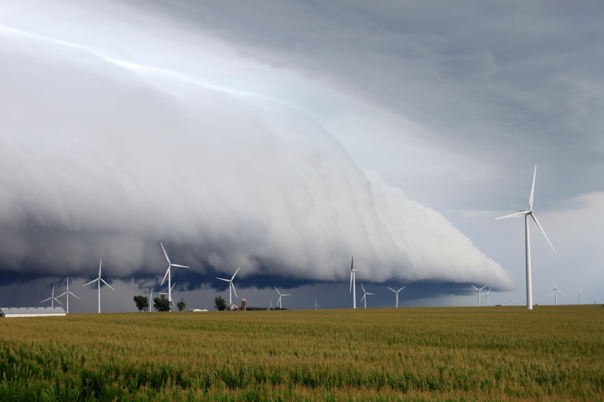 Understanding Squall Lines: 5 Dangers They Bring, Including Destructive ...