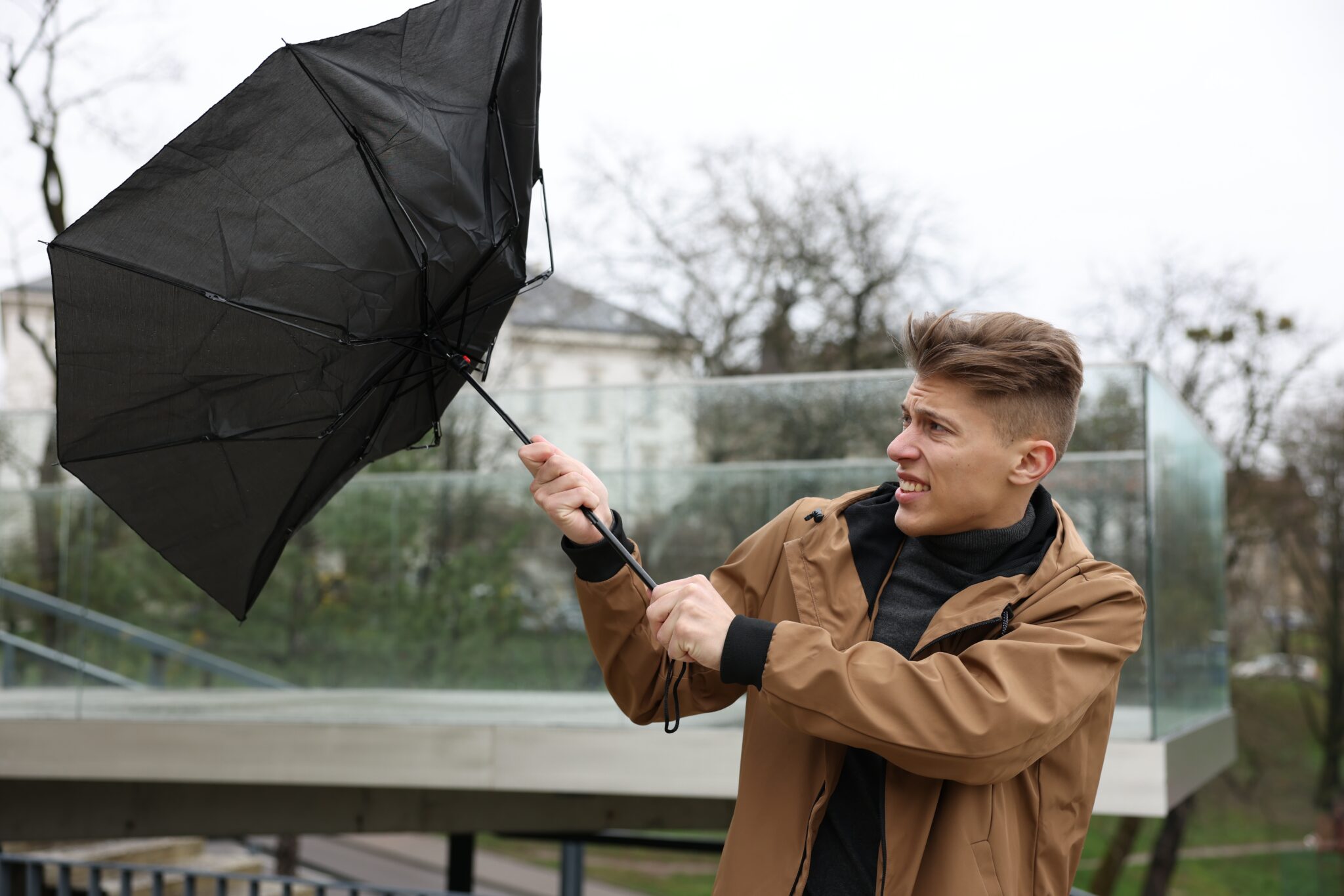 Why Does March Bring More Wind? Understanding Spring’s Gusty Season ...
