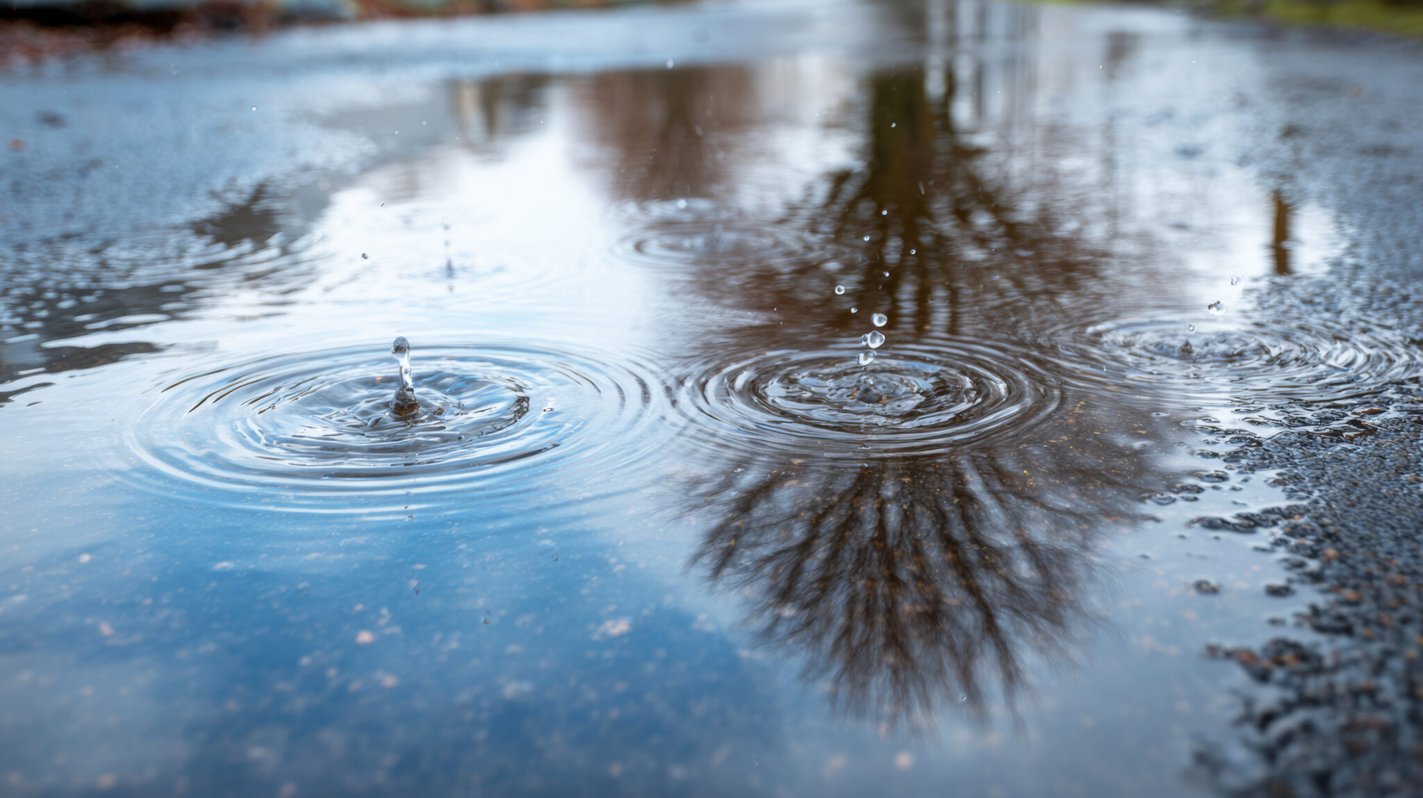 Why Do Puddles Dry Up Faster in Spring Than Winter? The Science of ...
