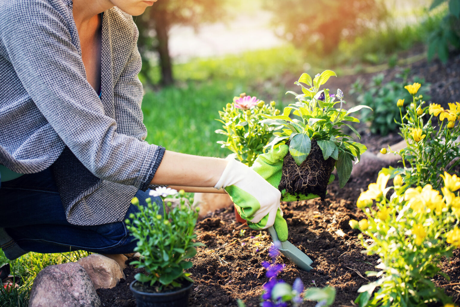 When to Actually Start Planting: Soil Temperature, Frost Dates, and the ...