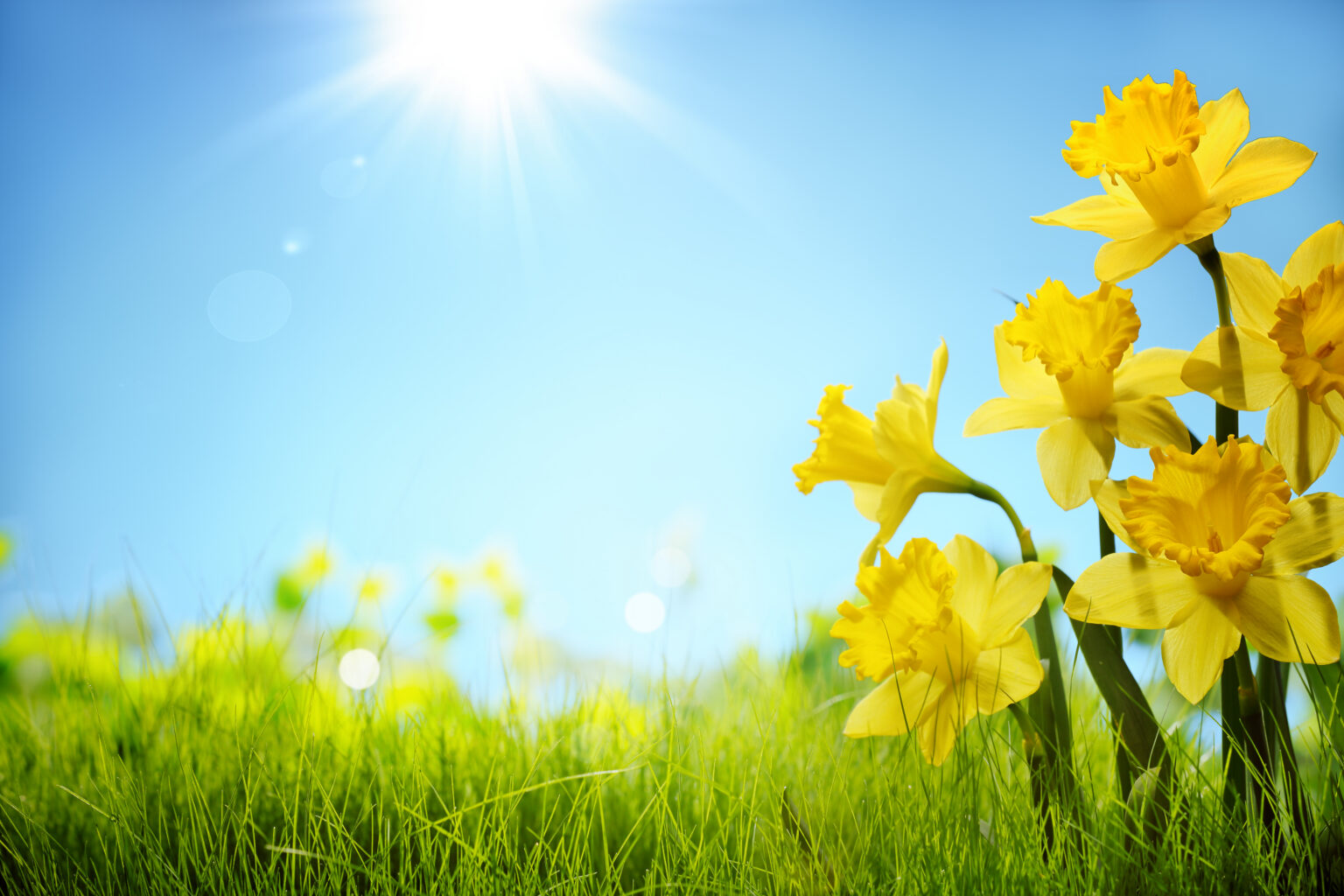 Why Does Spring Start on Different Dates? Astronomical vs ...